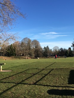 Shopping for Neighborhoods – Dear Liza