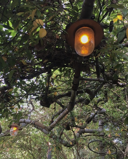 A Pretty, Chilly, Birthday Part 2 – Dear Liza