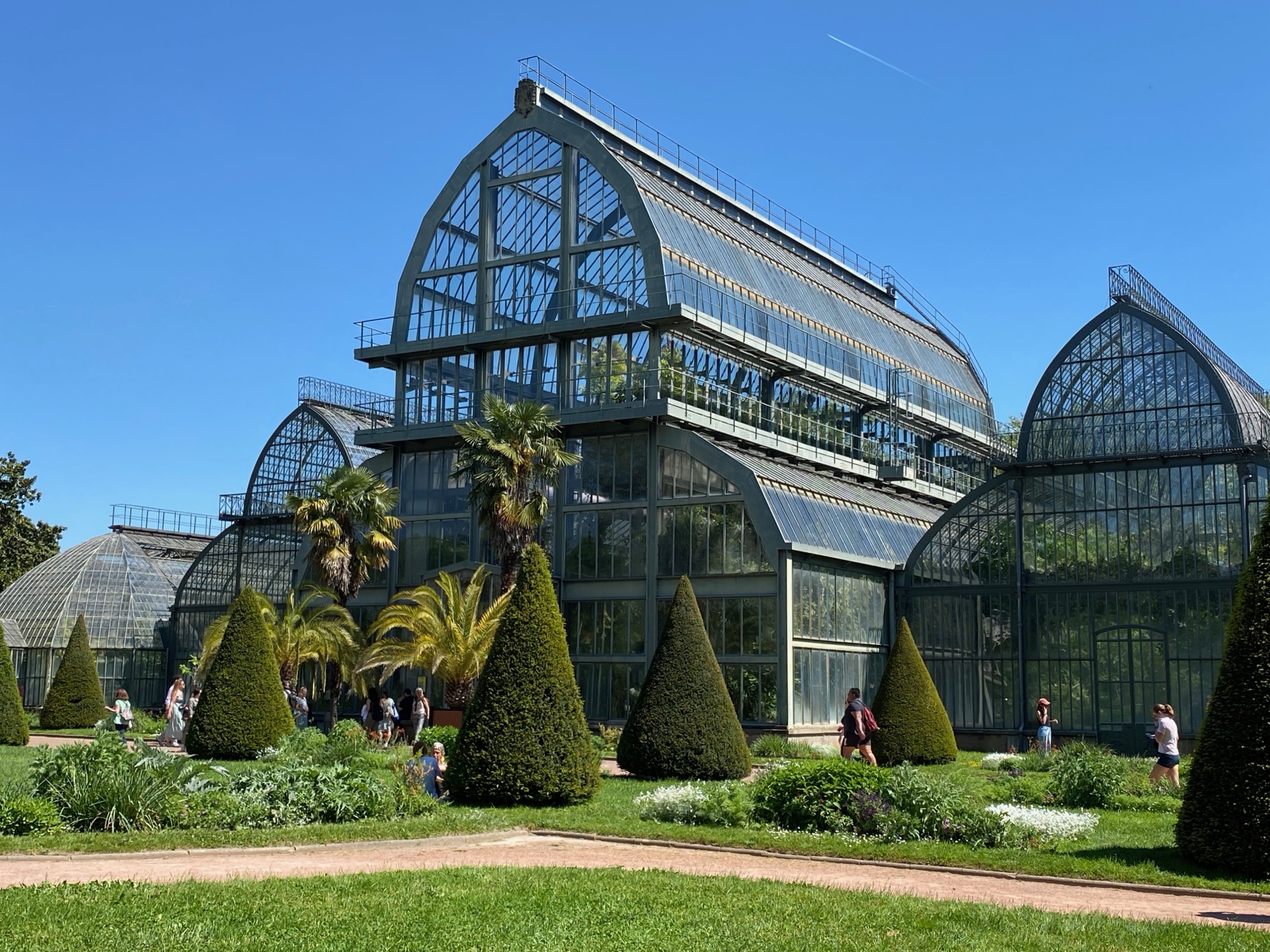Falling in Love with Lyon – Dear Liza